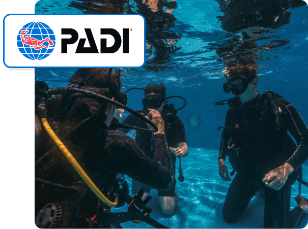 PADI | Dive Shop 360